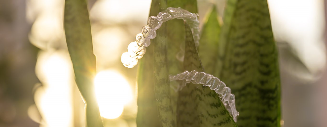 Invisalign Versus Angel Aligner Life Orthodontics